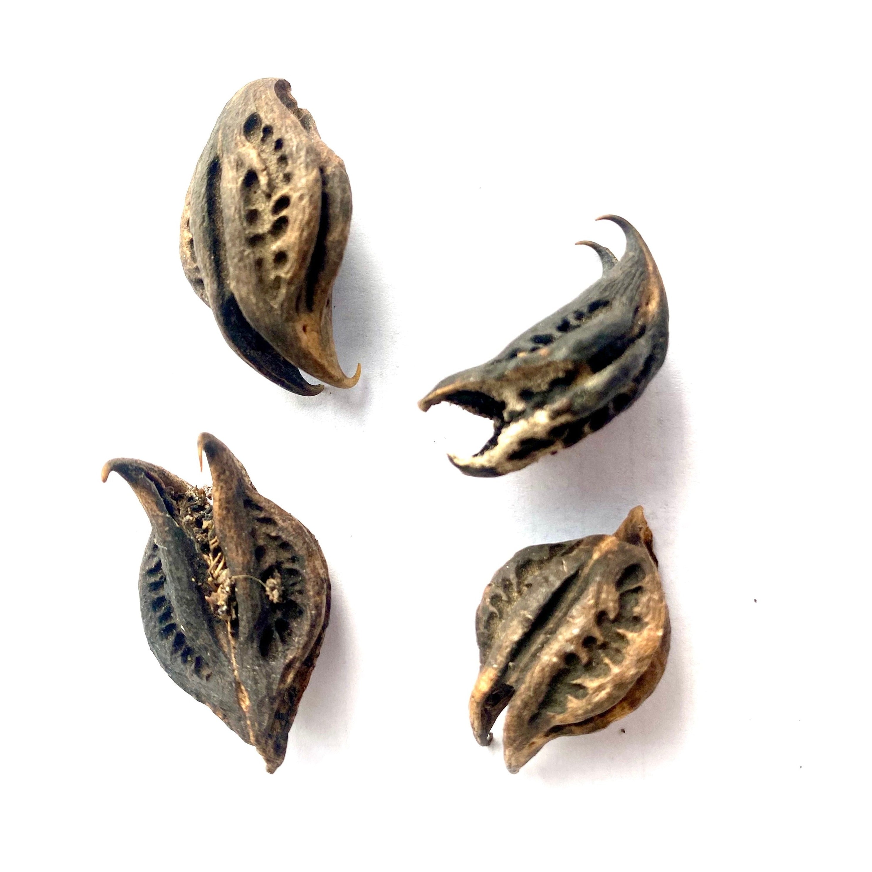 Shop Market Africa – SHOP MARKET AFRICA